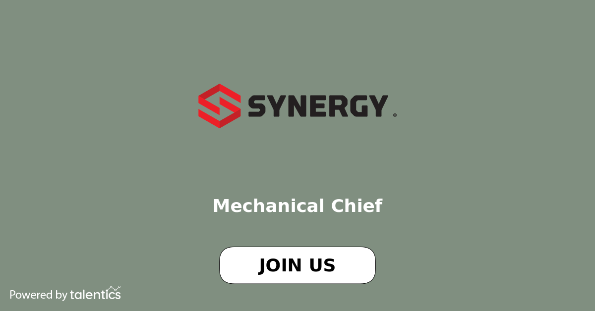 Synergy | Mechanical Chief